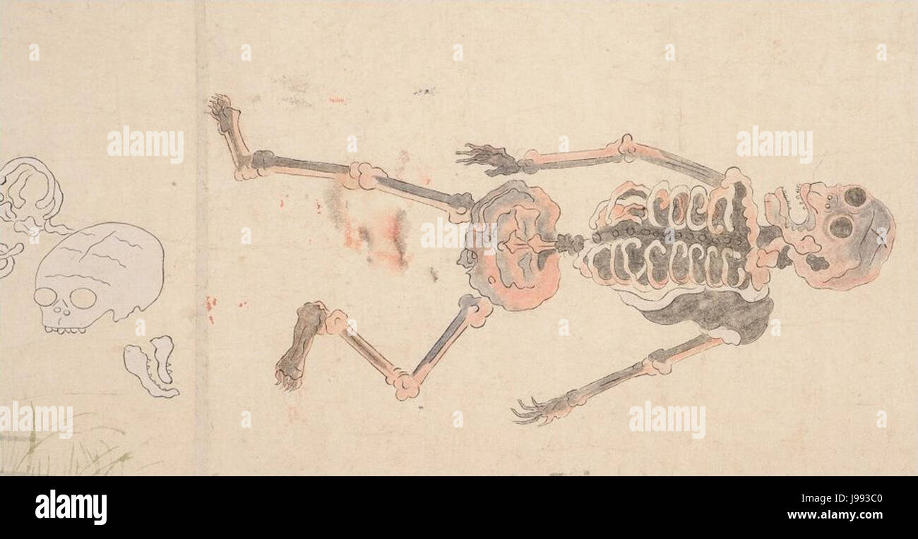 Stages of decomposition hi-res stock photography and images - Alamy