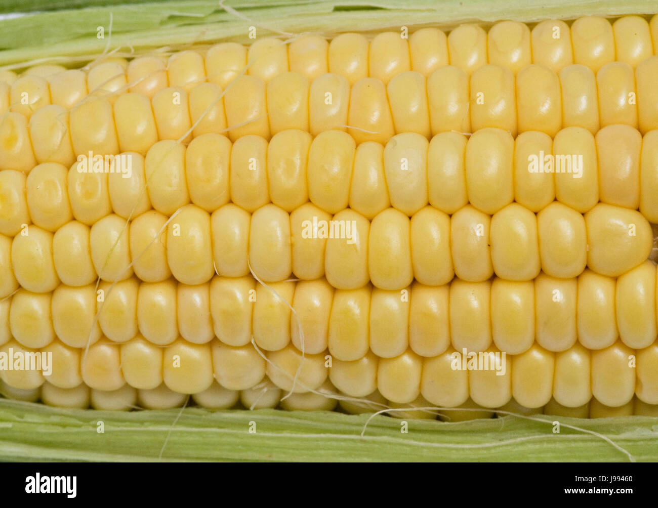 food, aliment, closeup, grain, corn, staple, cereal, indian, years ...