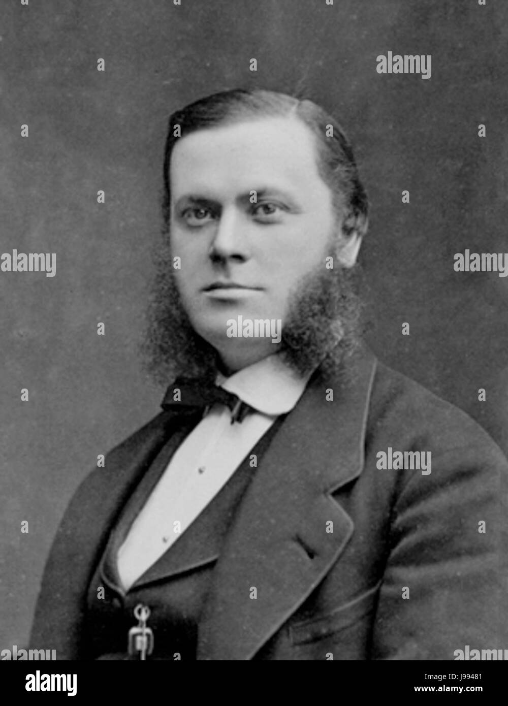 Per Teodor Cleve c1885 Stock Photo - Alamy