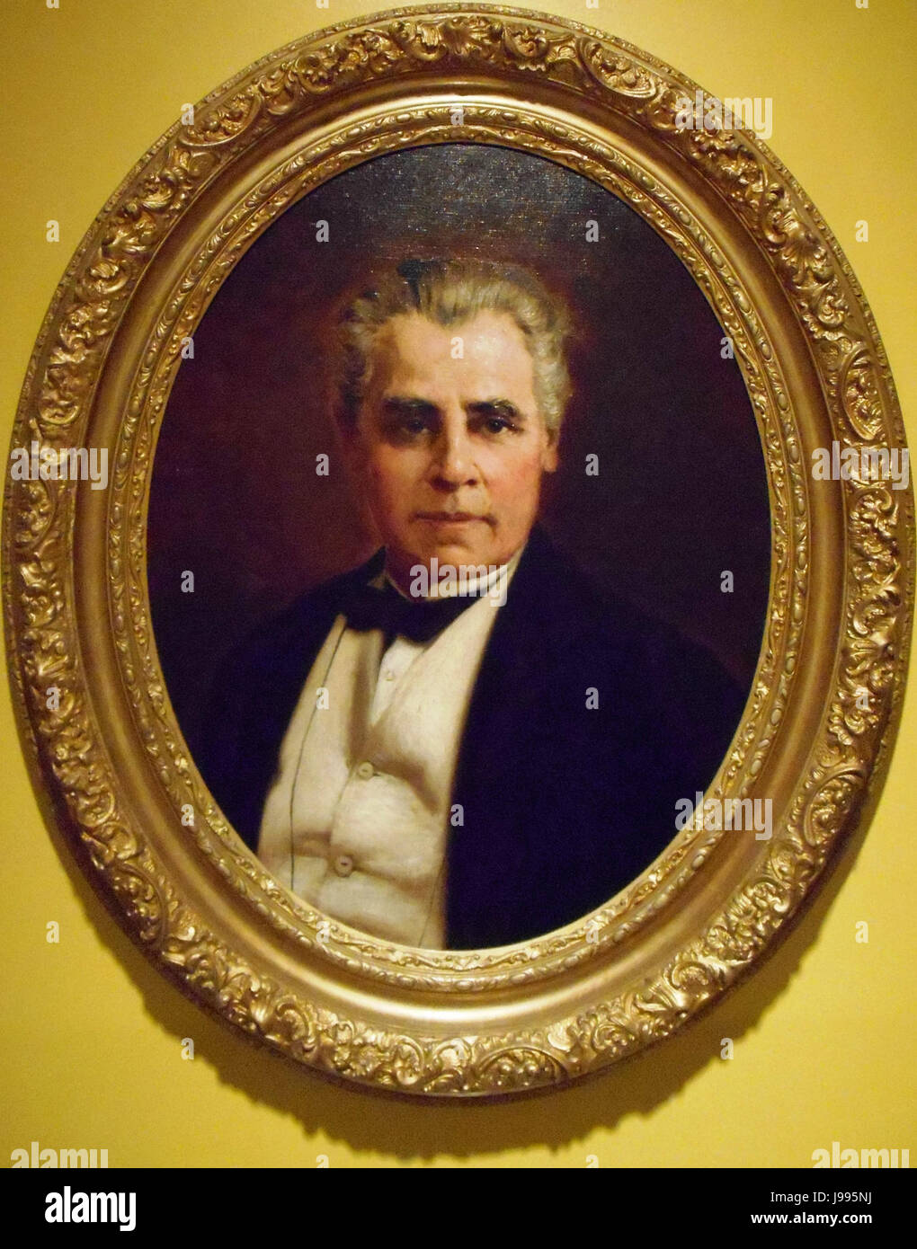 Sir George Etienne Cartier 1814 1873 Stock Photo - Alamy