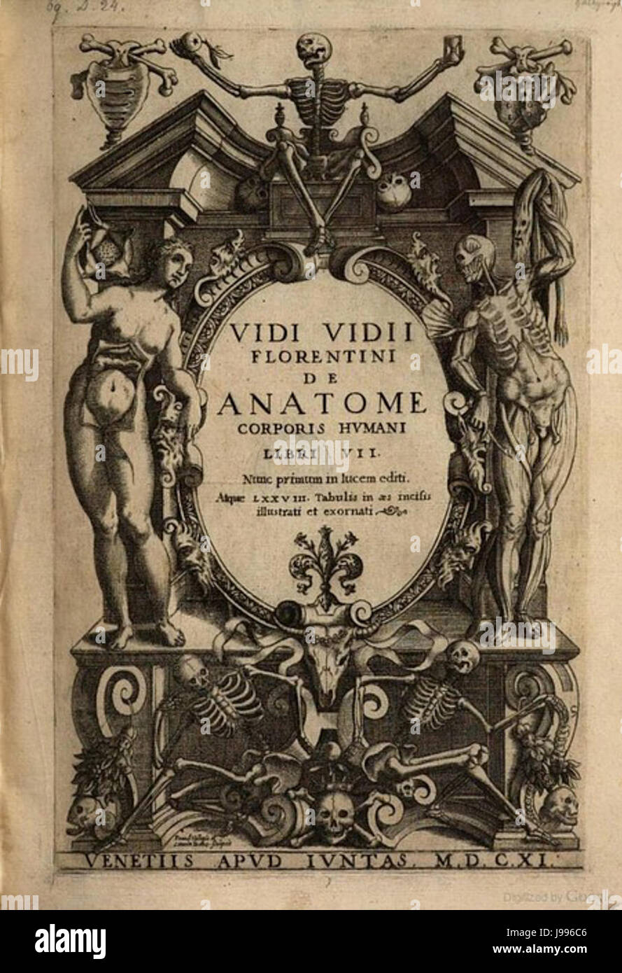 Vidus Vidius (1509 1569) 2 Stock Photo - Alamy