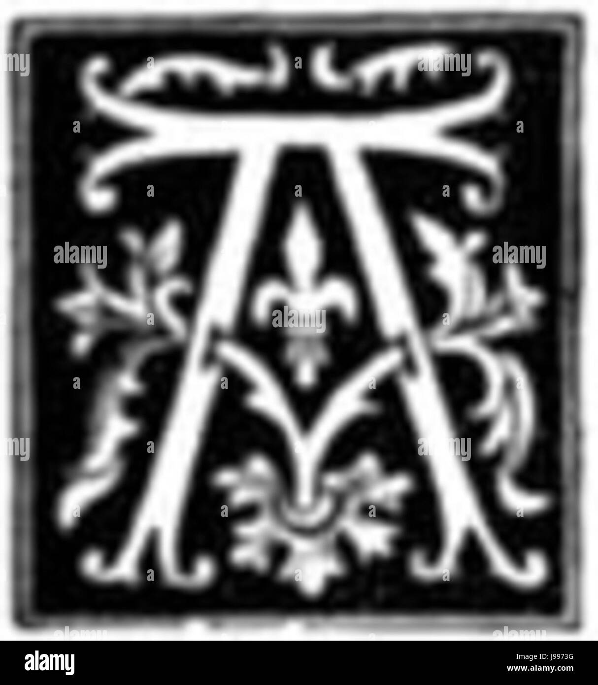 The Poison Tree Image 062 Stock Photo - Alamy