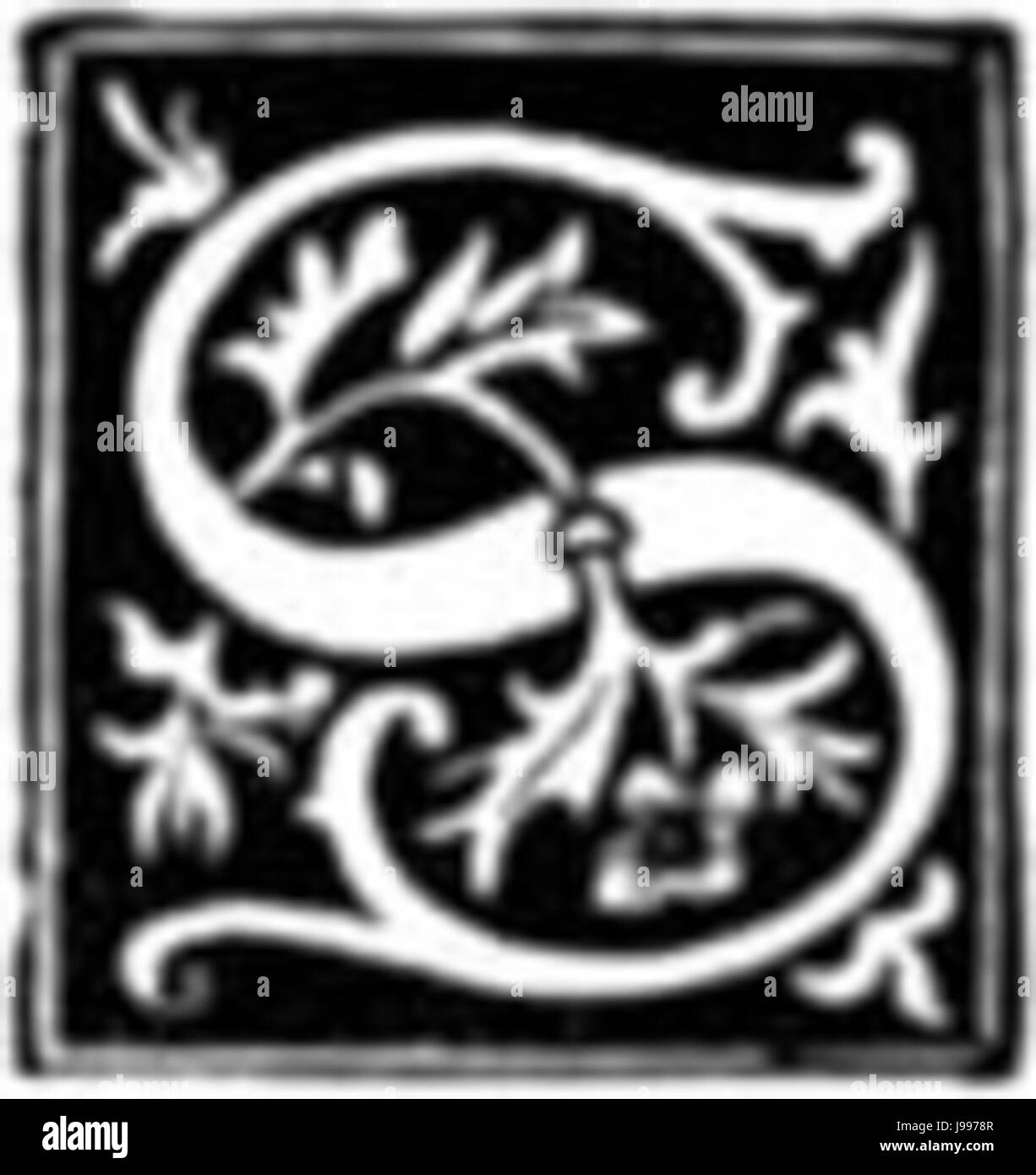 Tree of philosophy Black and White Stock Photos & Images - Alamy