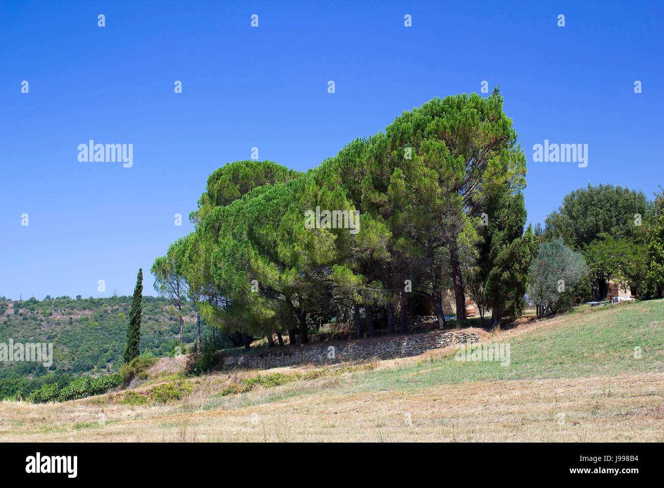 blue, travel, tree, stone, pine, cloud, field, europe, vineyard ...