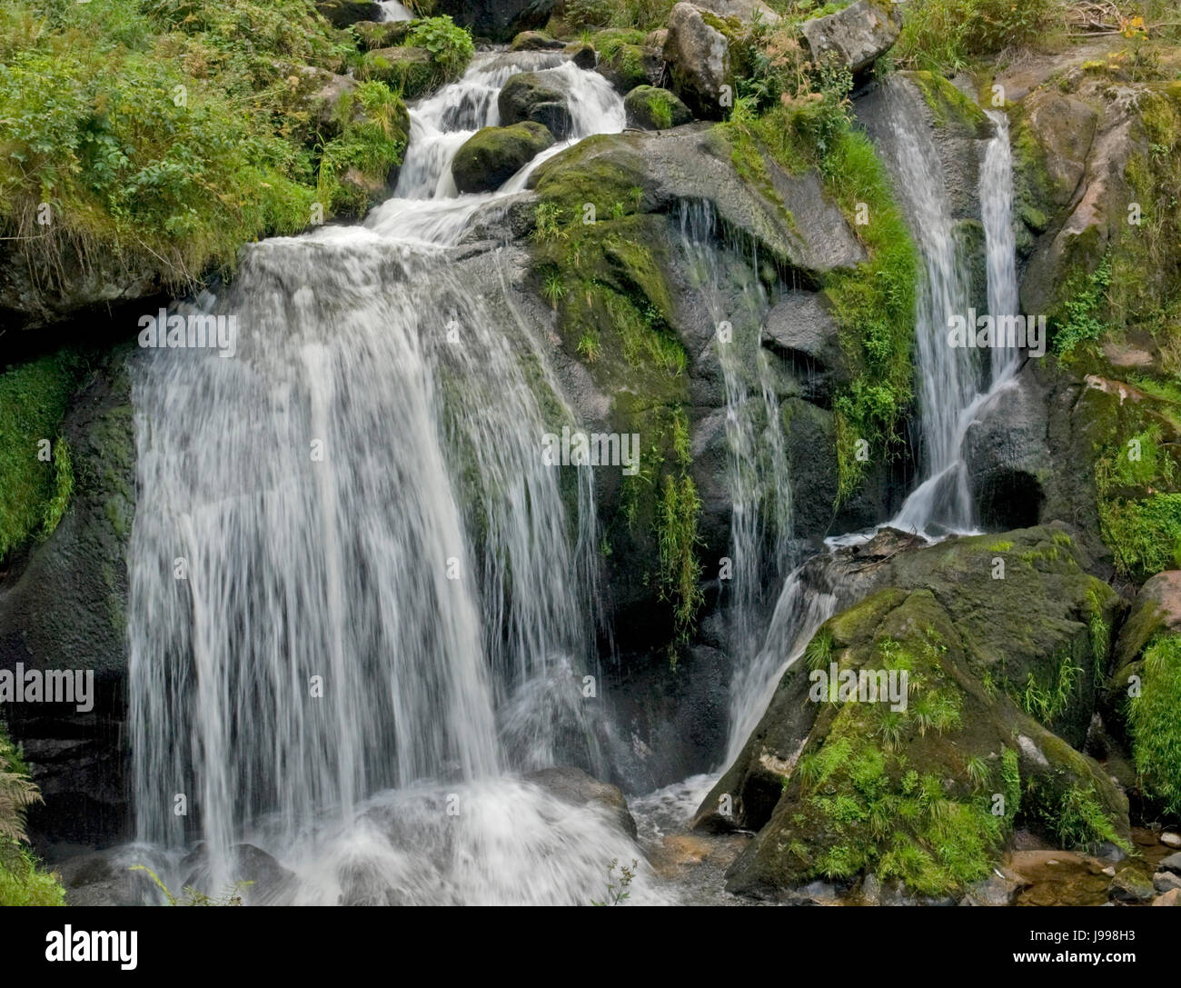 idyllic triberg waterfalls Stock Photo - Alamy