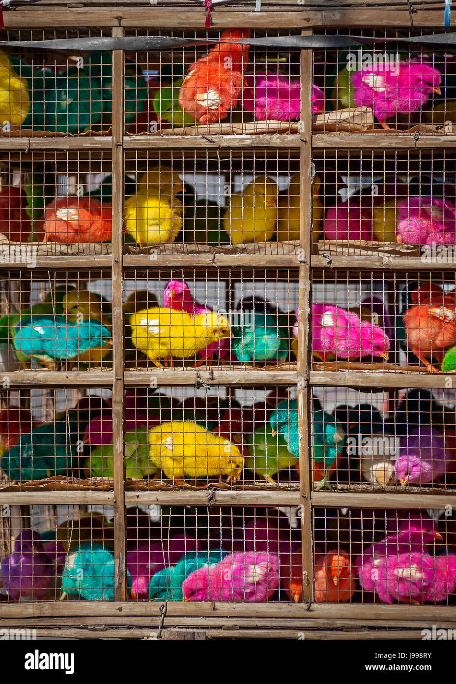 Chicken jail hi-res stock photography and images - Alamy