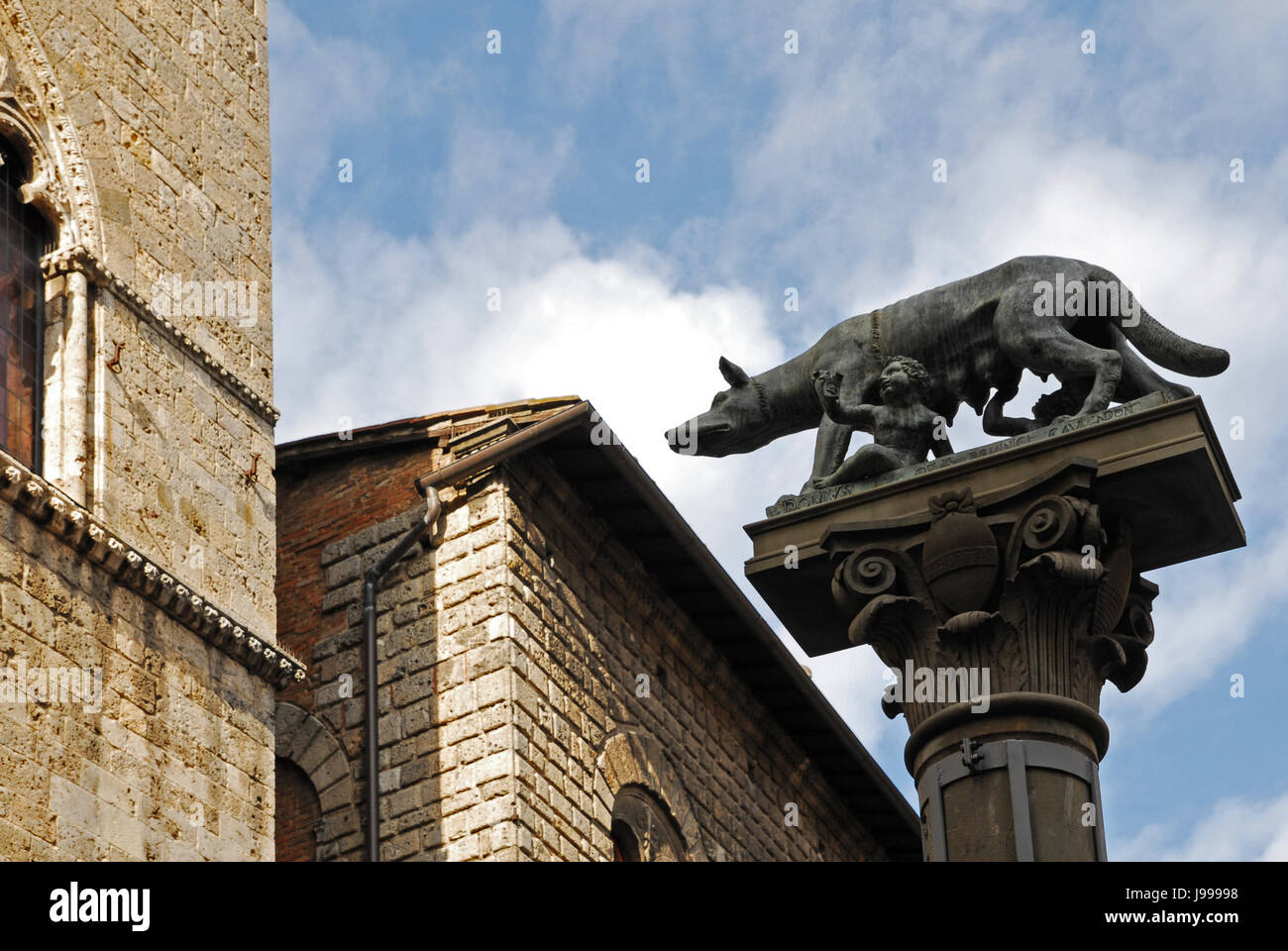 She wolf hi-res stock photography and images - Alamy