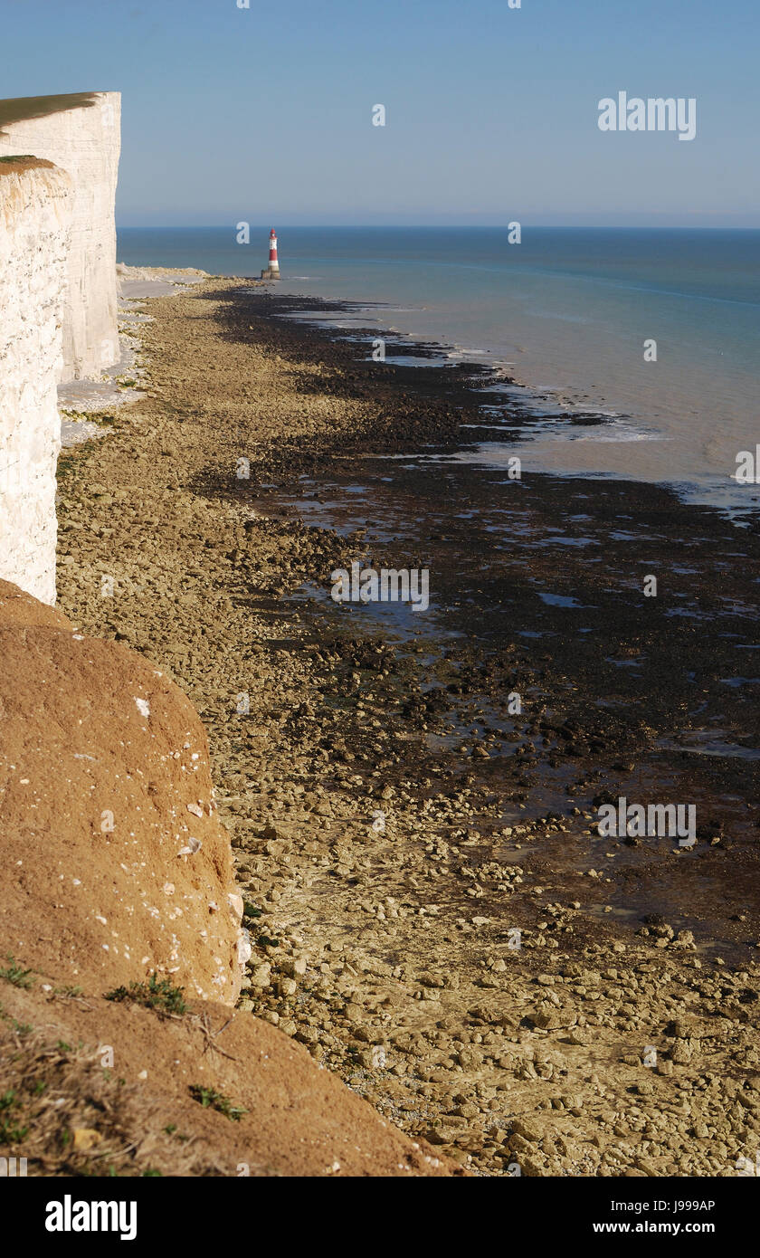 beach, seaside, the beach, seashore, rock, chalk, cliff, salt water ...