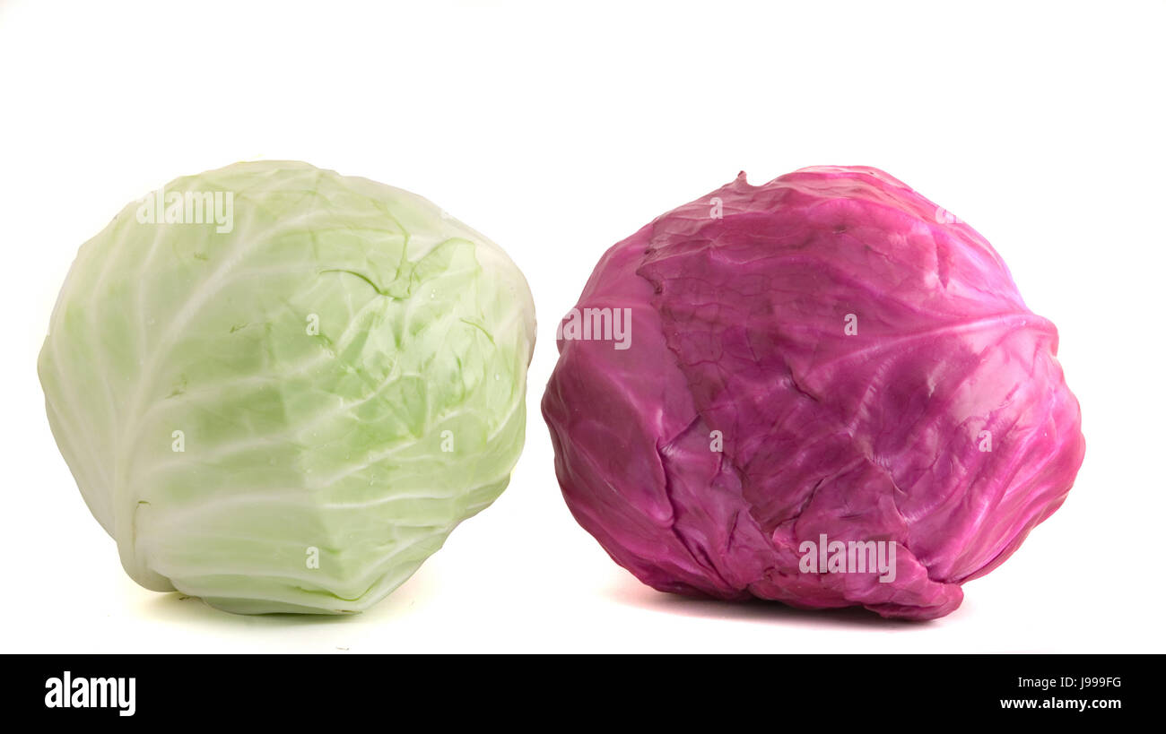 food, aliment, leaf, isolated, green, vegetable, cabbage, leafy ...