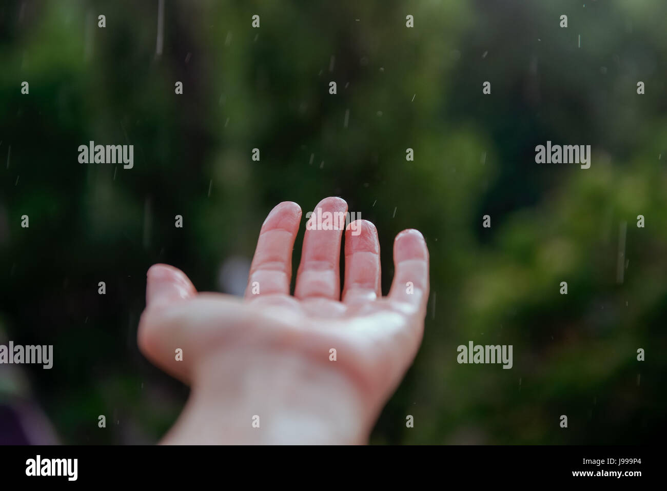 Human bodypart hi-res stock photography and images - Alamy