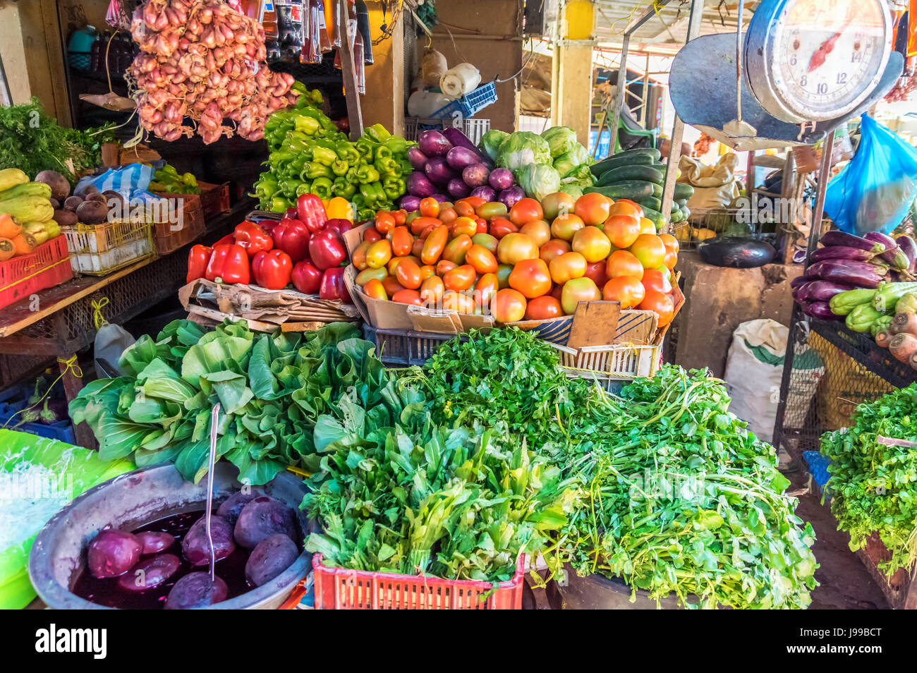 Dominican tomato hi-res stock photography and images - Alamy