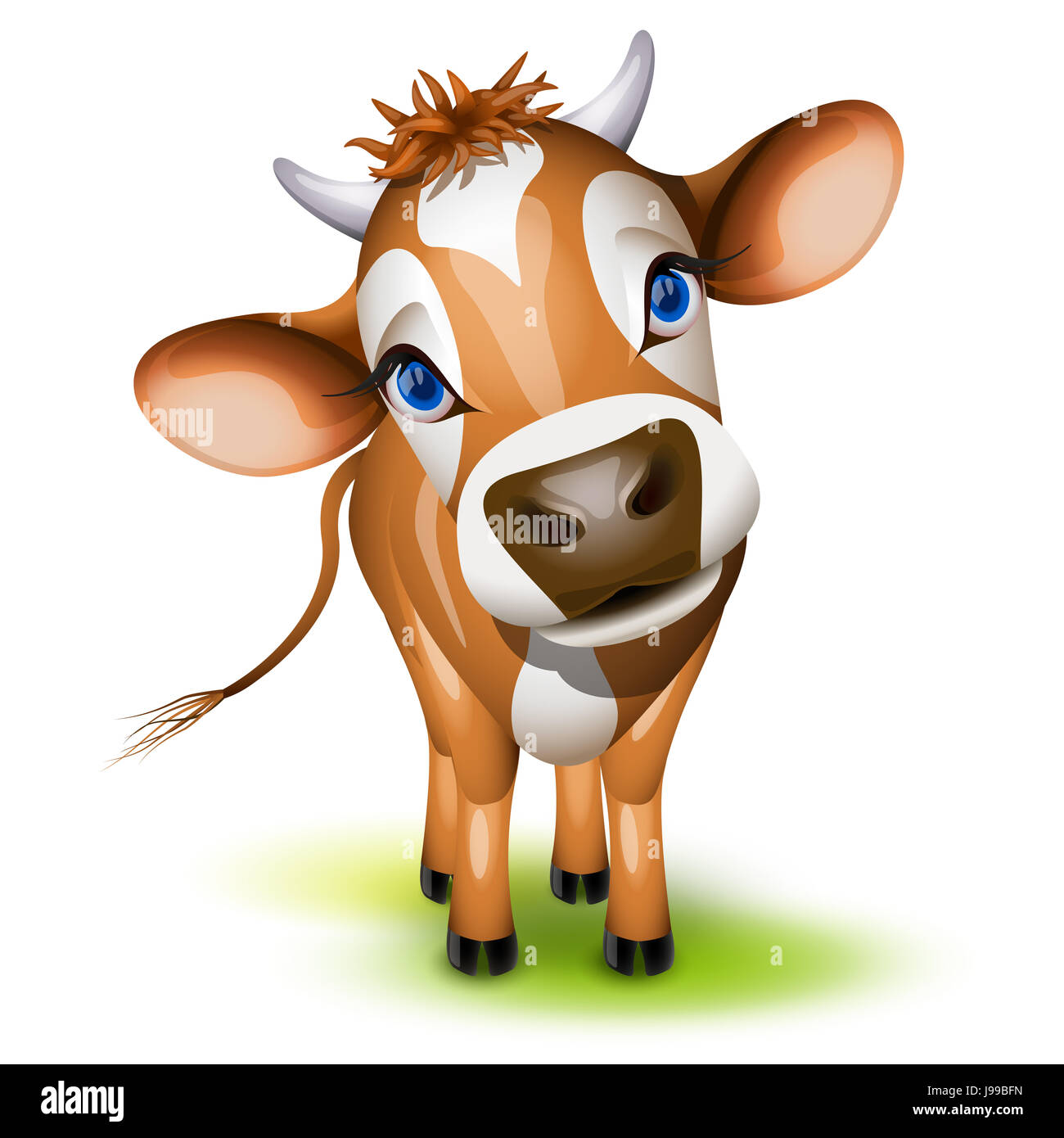Jersey cow illustration hi-res stock photography and images - Alamy