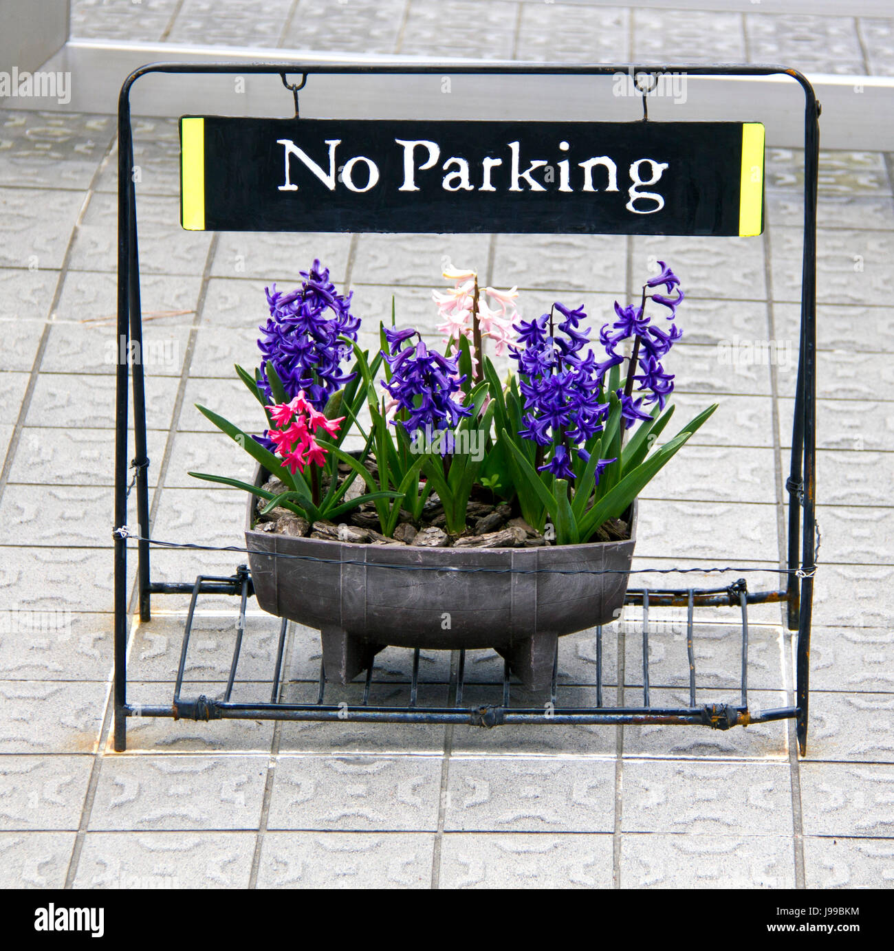 traffic, transportation, flower, flowers, plant, parking, pot, no ...