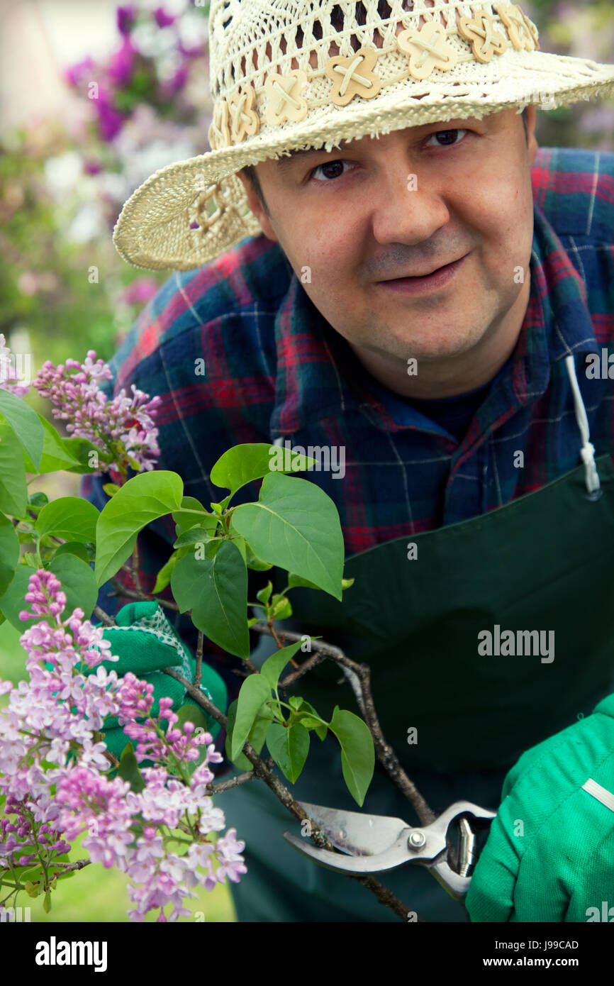 model, design, project, concept, plan, draft, garden, male, masculine ...