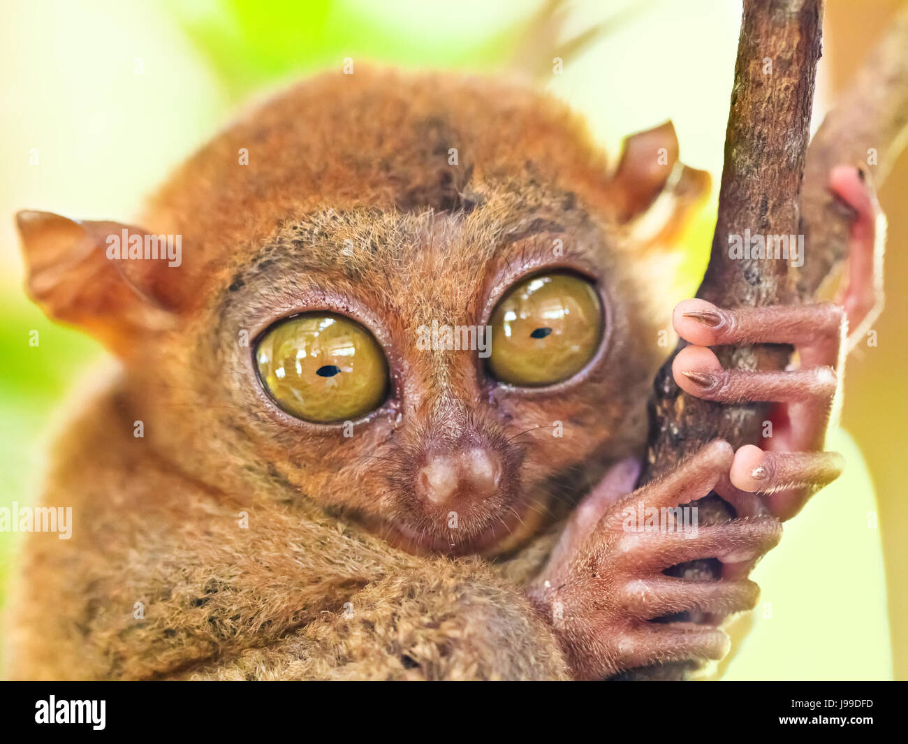 big, large, enormous, extreme, powerful, imposing, immense, relevant ...