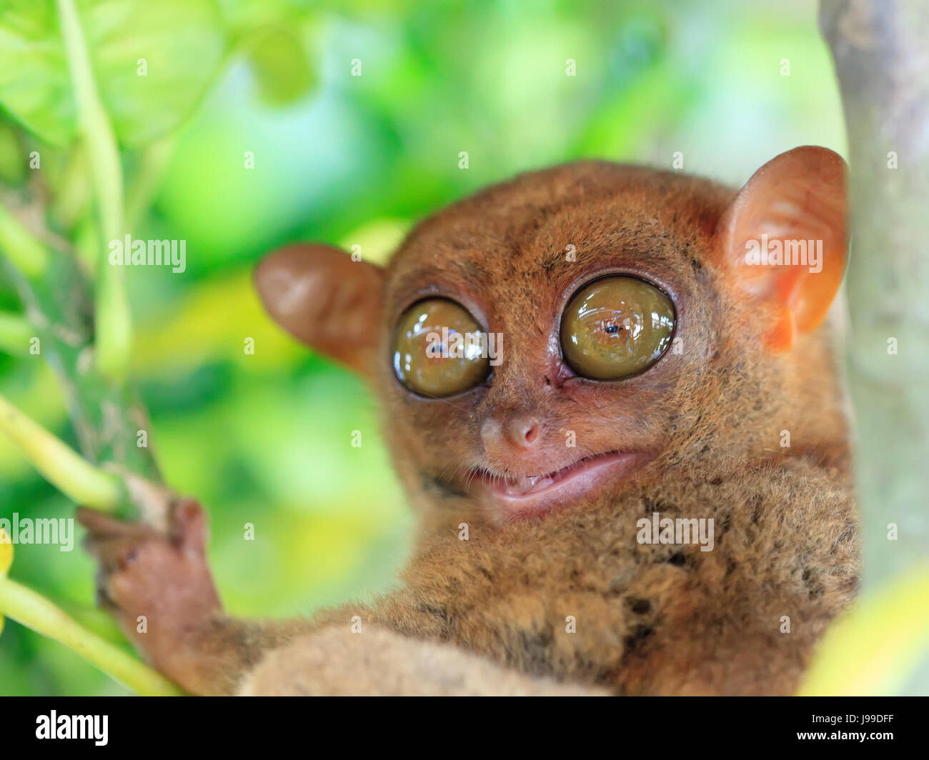 big, large, enormous, extreme, powerful, imposing, immense, relevant ...