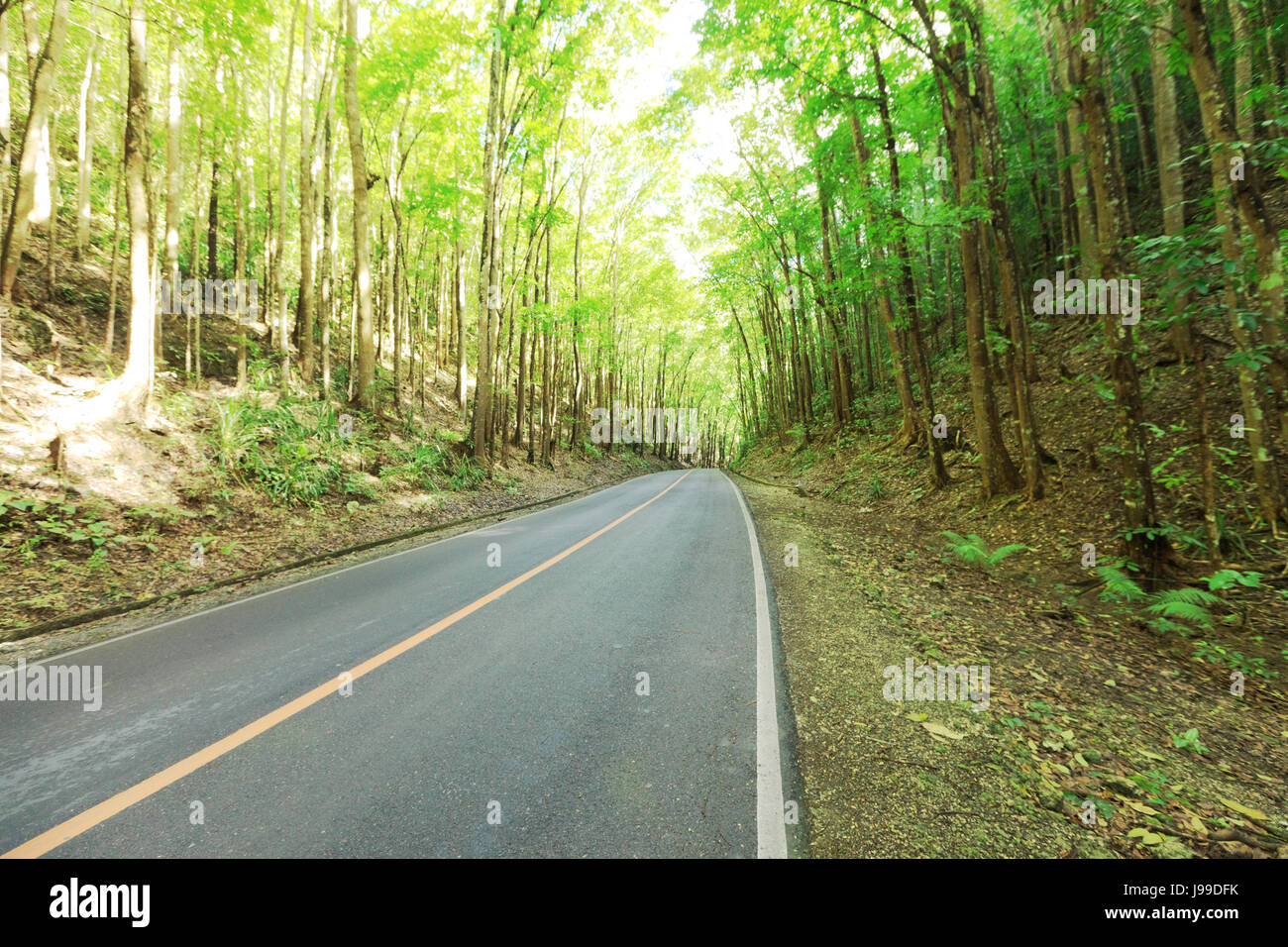 traffic, transportation, outdoor, tropical, landscape, scenery ...