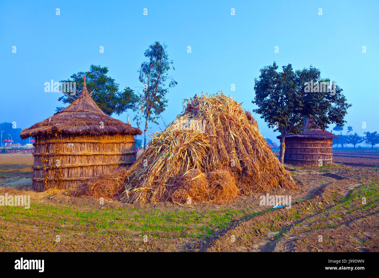 agriculture, farming, field, india, farm, hut, straw, humans, human ...