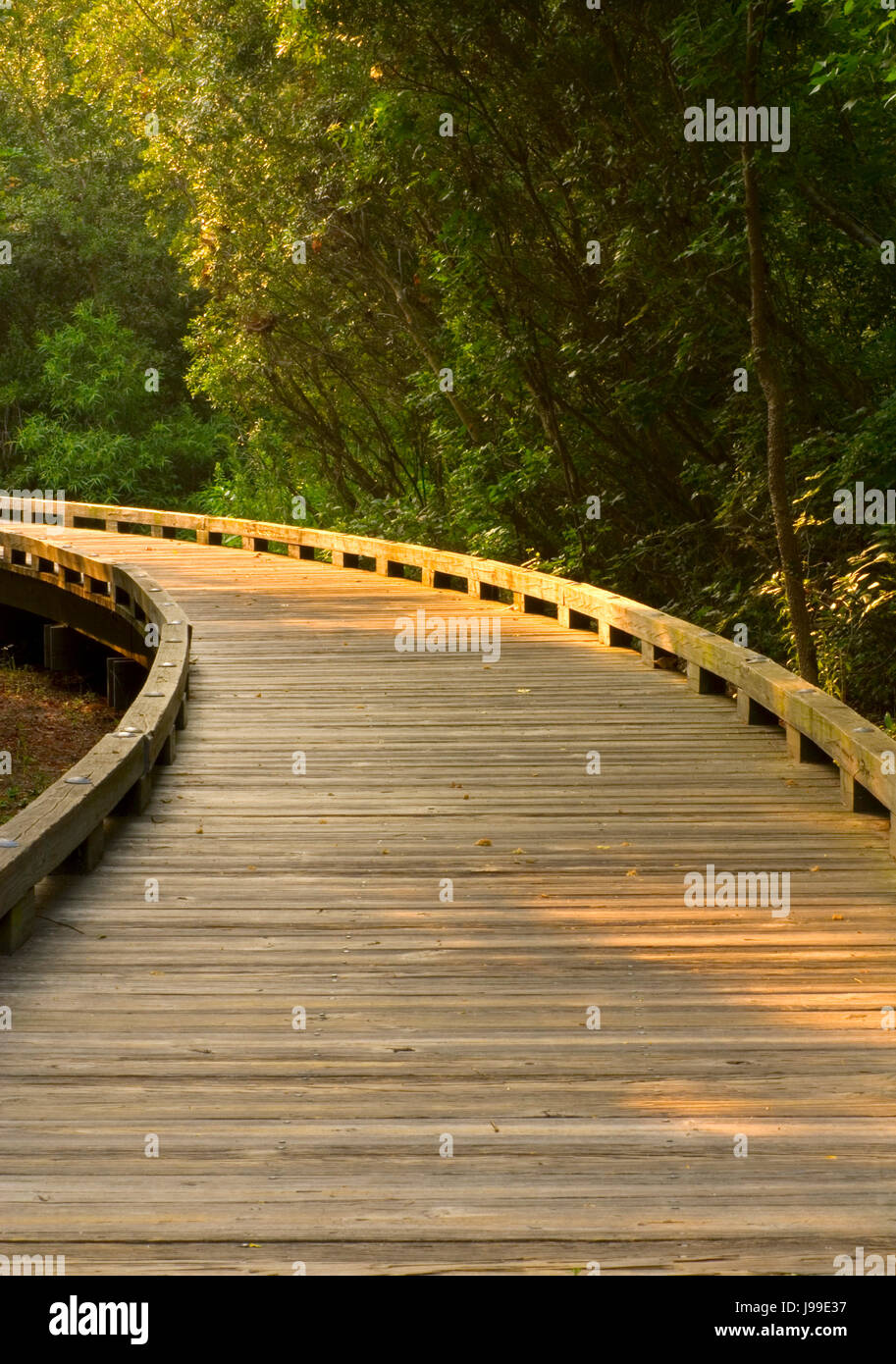 model, design, project, concept, plan, draft, future, bend, trail, path ...