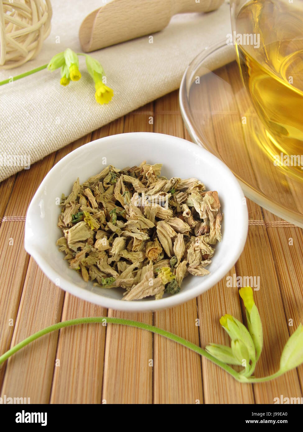 primrose, tea, bloom, blossom, flourish, flourishing, flower, flowers ...