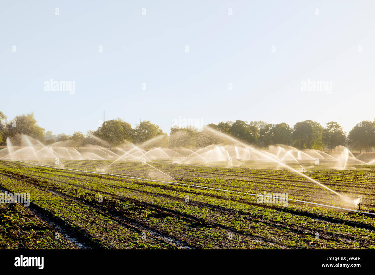 agriculture, farming, field, equipment, system, sprinkler, watering ...