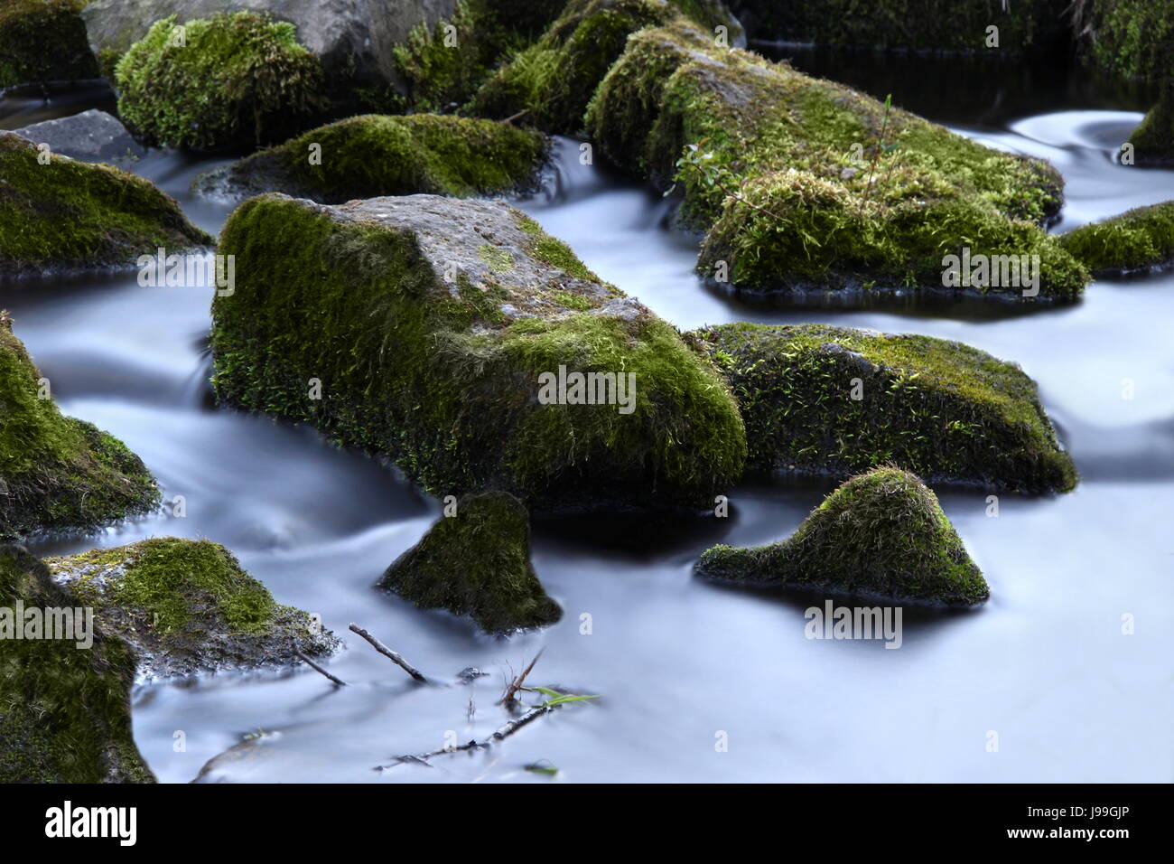 plant, long-term exposure, mood, moss, river, water, stones, fluent ...
