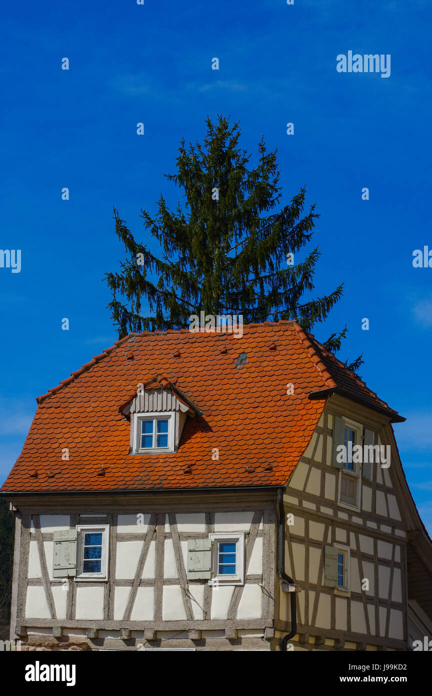 Tudor family tree hi-res stock photography and images - Alamy