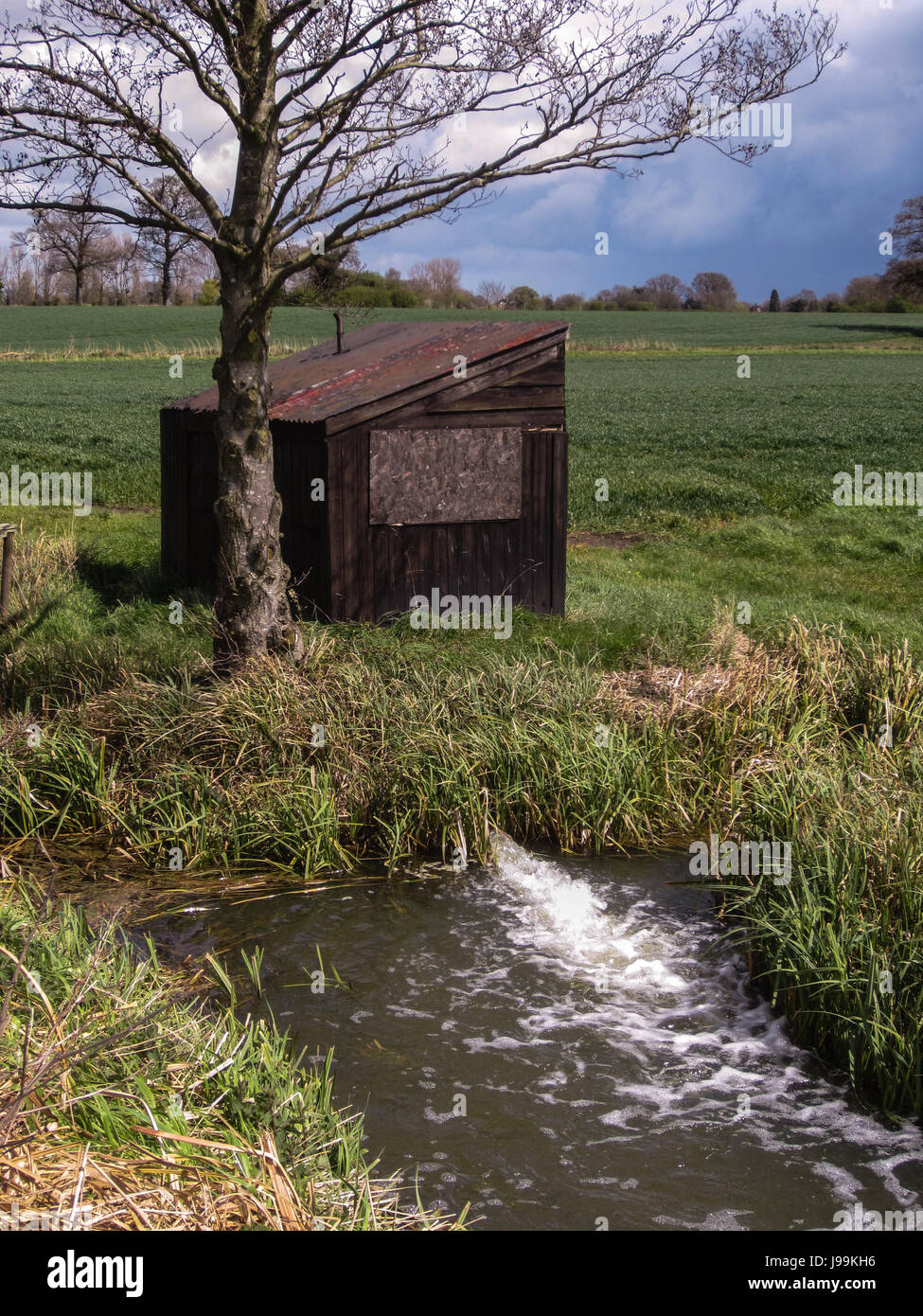 blue, tree, cloud, field, farm, lowland, ditch, drainage, pipe, shed ...