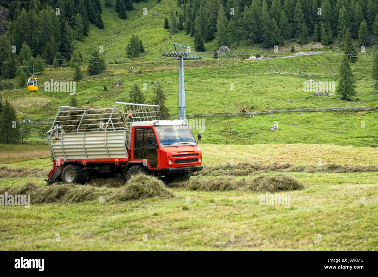 fodder, agriculture, farming, summer, summerly, livestock, farm, feed ...
