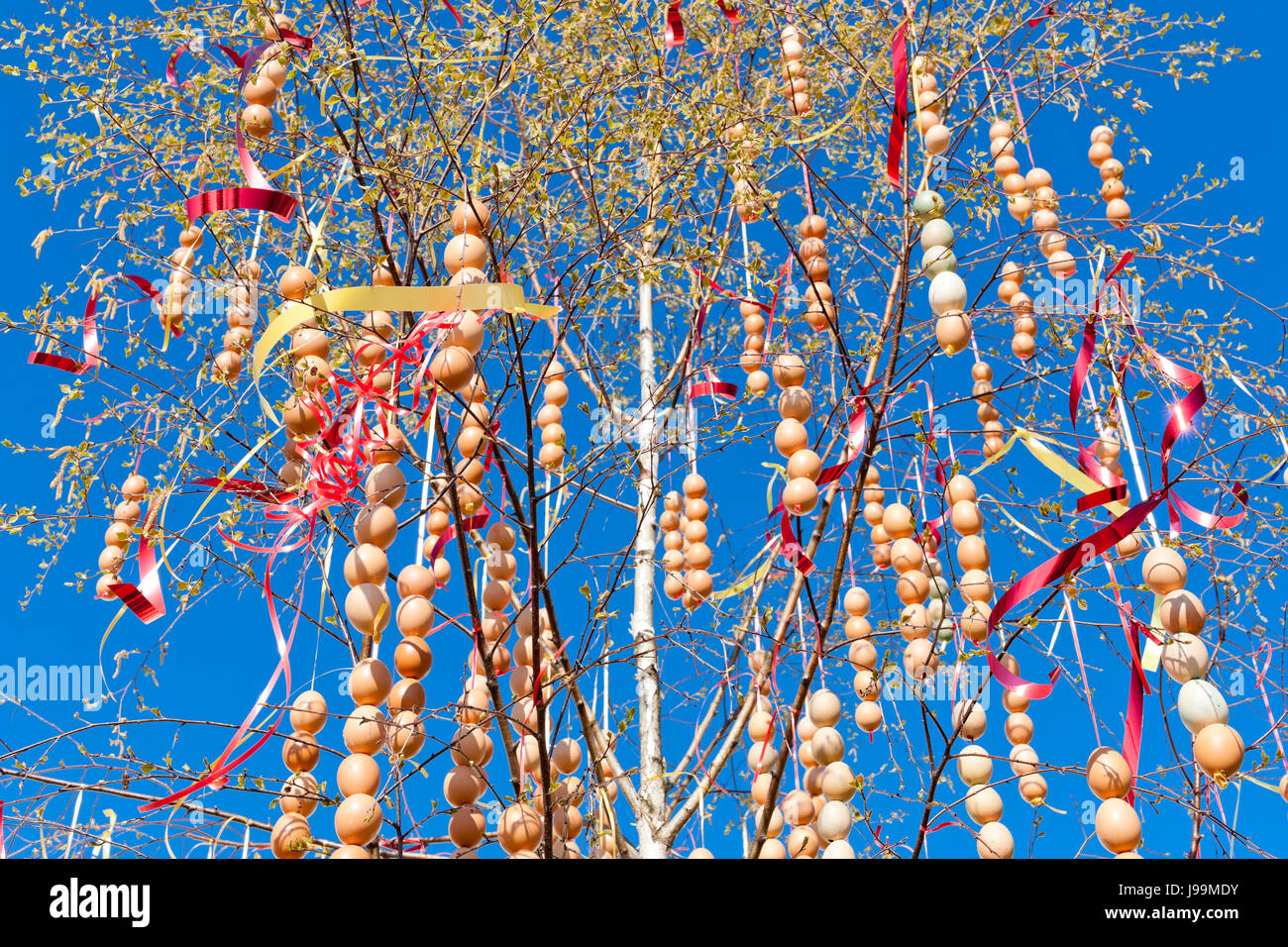 still life, tree, easter, still life, tree, easter, spring, bouncing ...