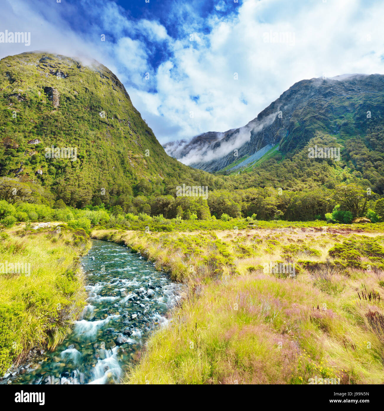 new zealand, sight, view, outlook, perspective, vista, panorama ...
