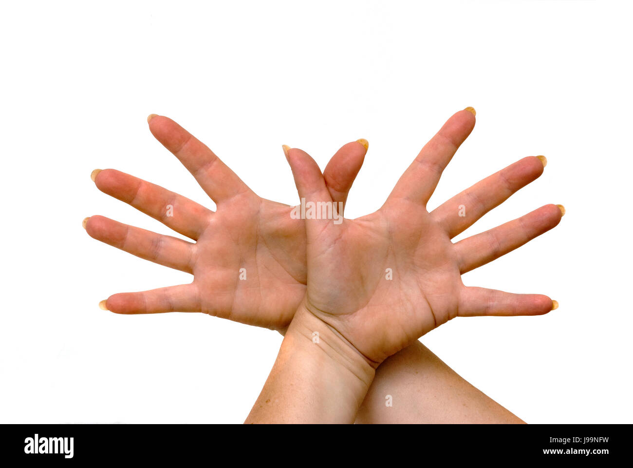woman, hand, finger, isolated, female, closeup, palm, limb, digit, arm ...