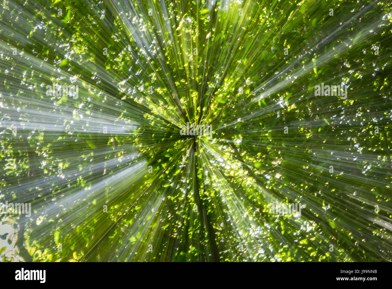 green nature leaf Stock Photo - Alamy