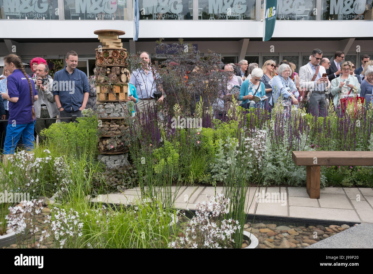 Visitors to the RHS Chelsea Flower Show 2017 looking at the Greening of ...