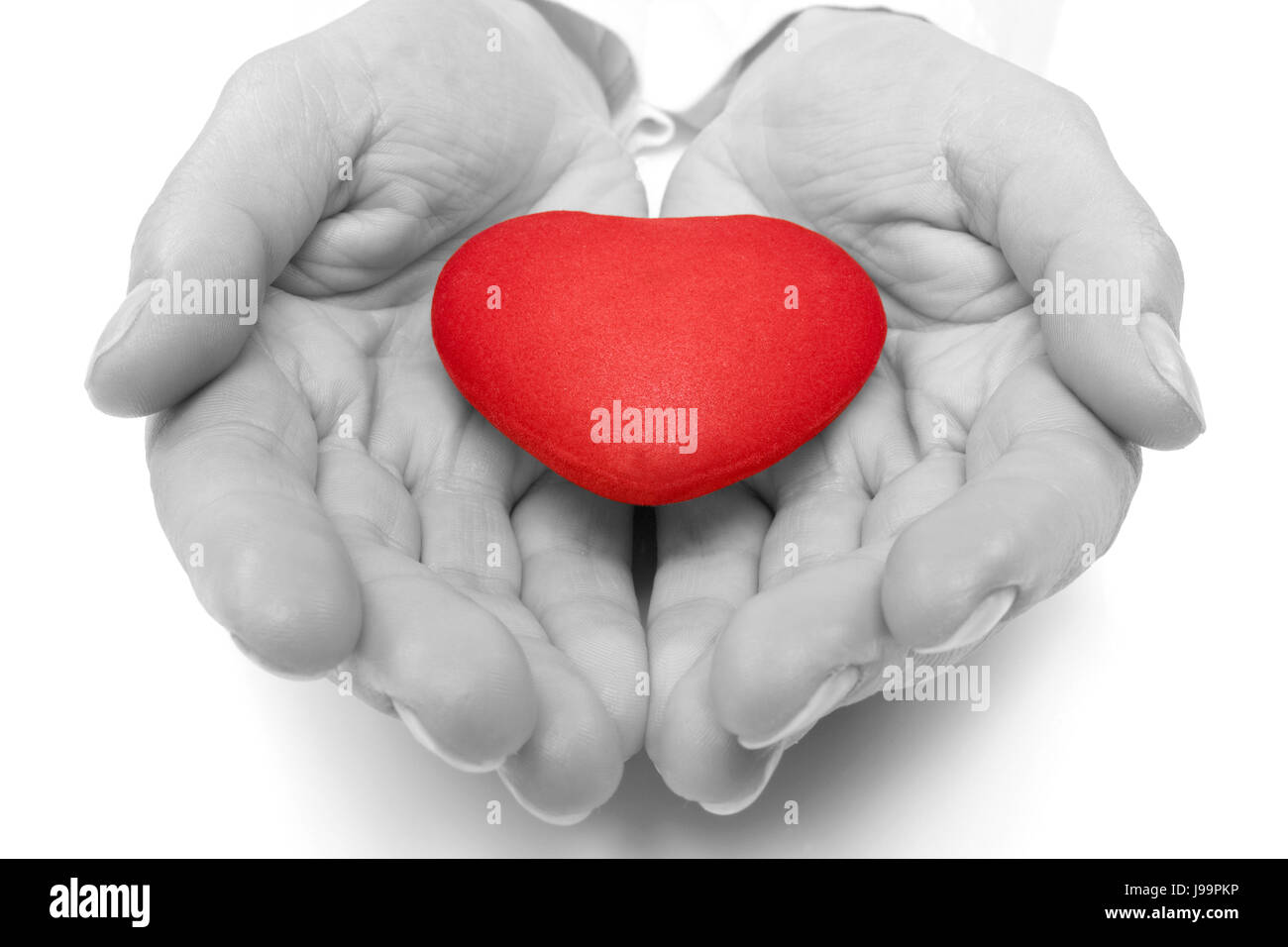 hand, romantic, hold, love, in love, fell in love, valentine ...