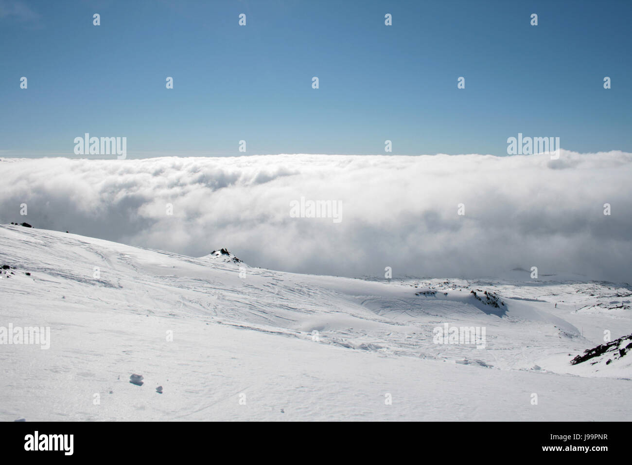 winter, snow, coke, cocaine, material, drug, anaesthetic, addictive ...