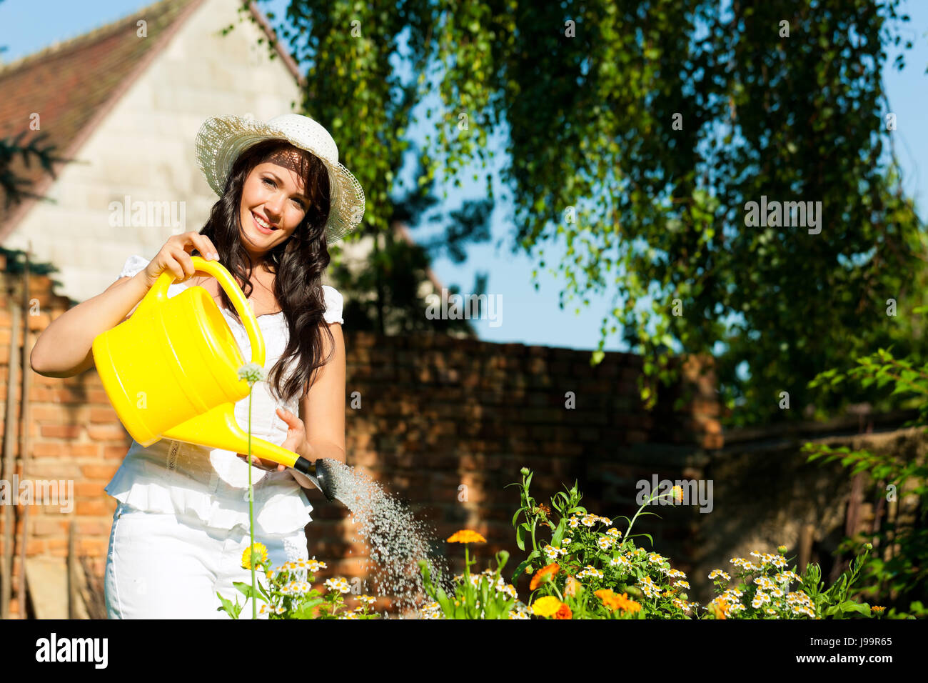 woman, garden, gardener, gardening, gardens, pour, watering-can, humans ...