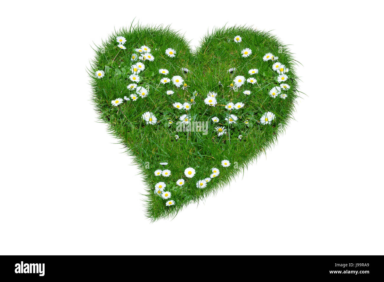 optional, green, daisy, climate, meadow, grass, lawn, heart, sign ...