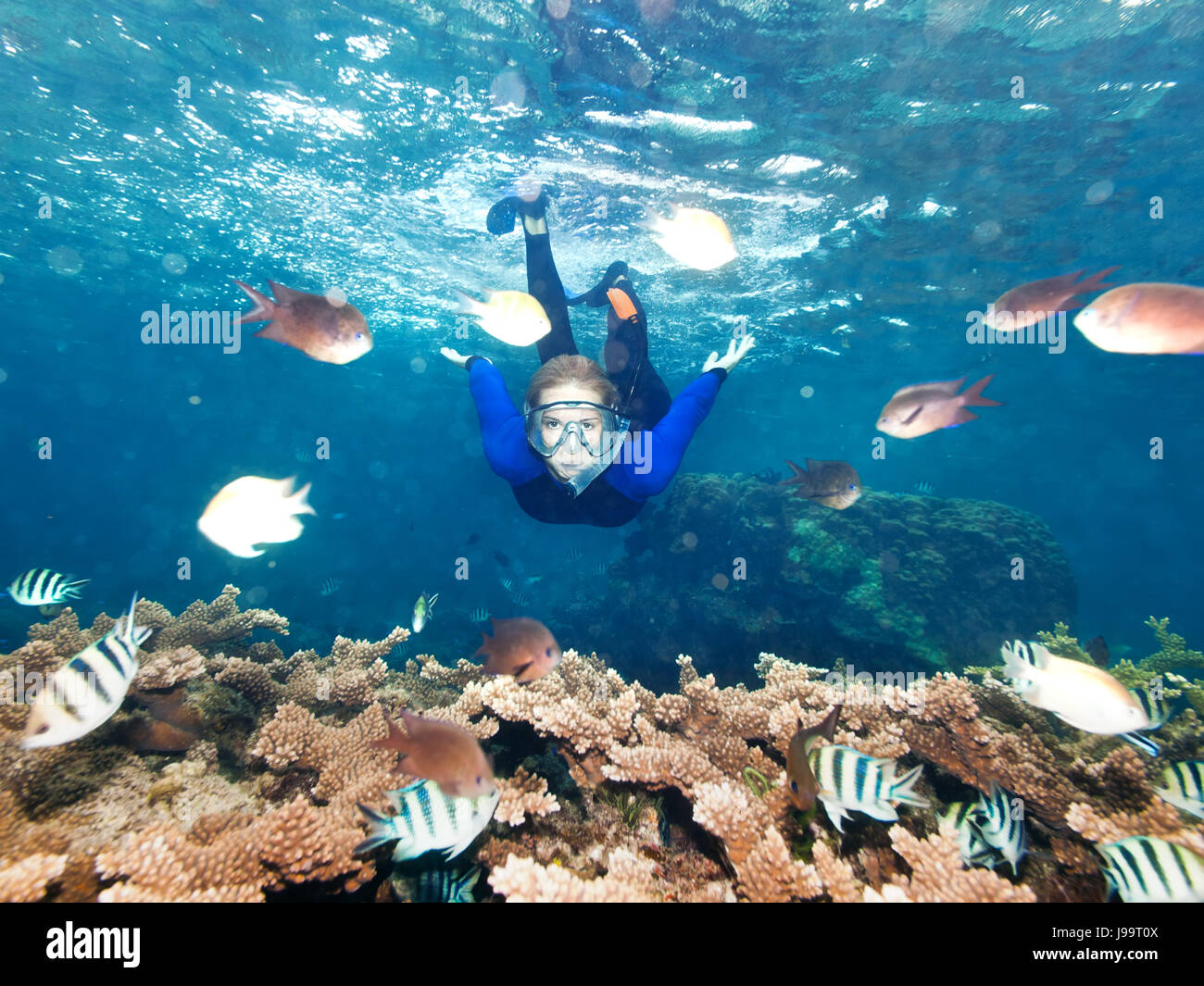 woman, underwater, fins, tropical, snorkel, young, younger, salt water ...