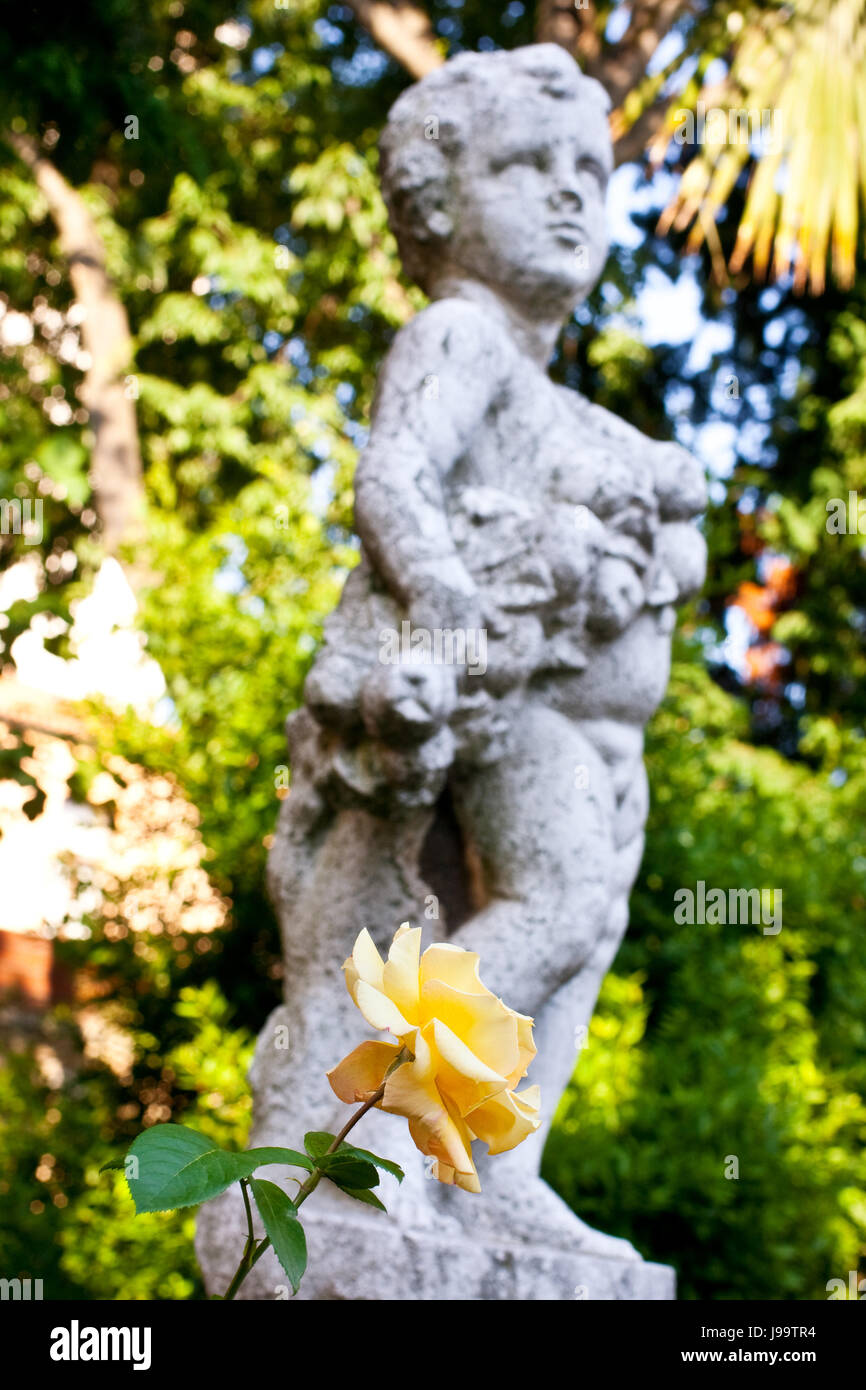 flower, plant, rose, statue, sculpture, cherub, monument, culture ...