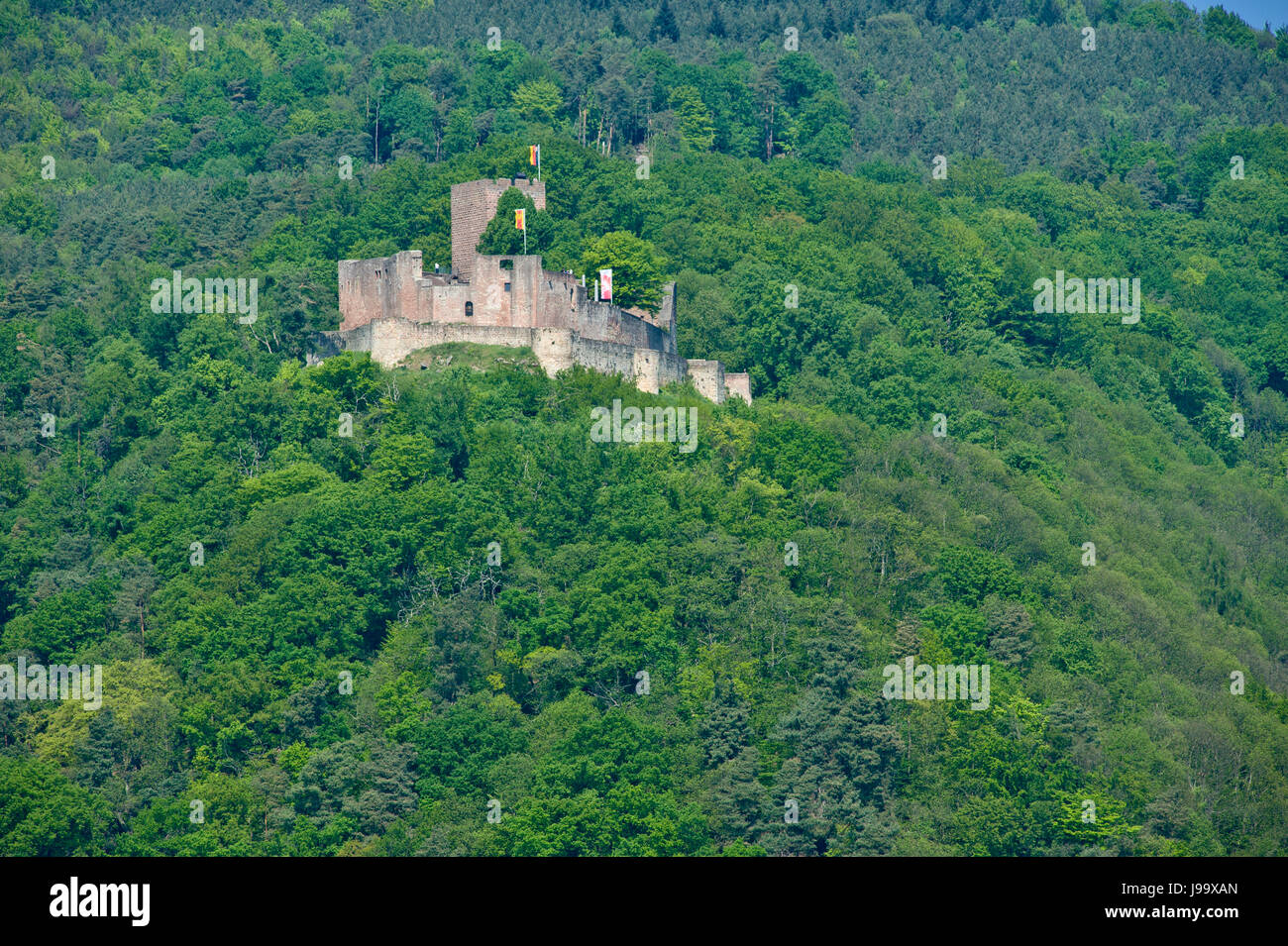 stronghold, europe, ruin, fortress, ruins, german, pfalz, bastion ...