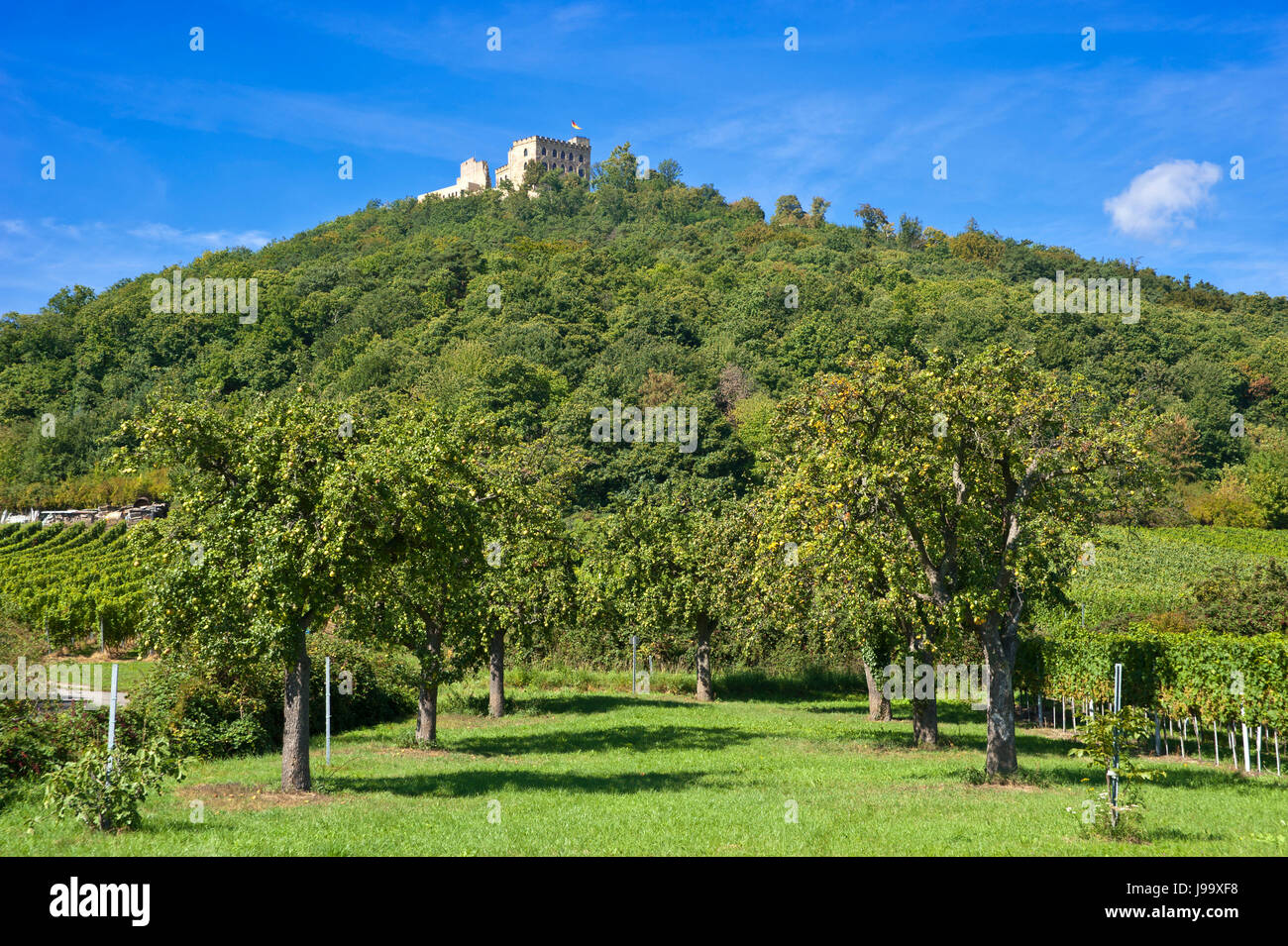 stronghold, europe, fortress, german, locksmith, natural preserve ...