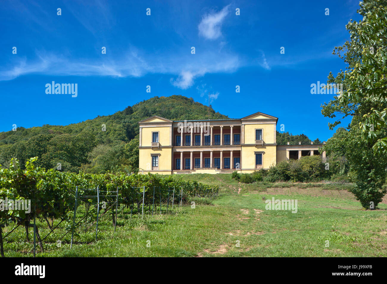 historical, vineyards, europe, cultivation of wine, vineyard, germany ...