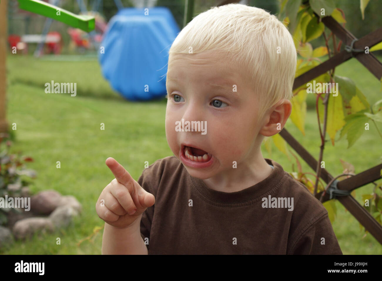 panic, fear, frightened, pointer, horrified, emotion, young, younger ...