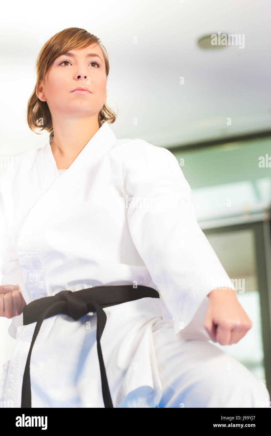 sport, sports, fight, fighting, competitive sport, training, fitness ...