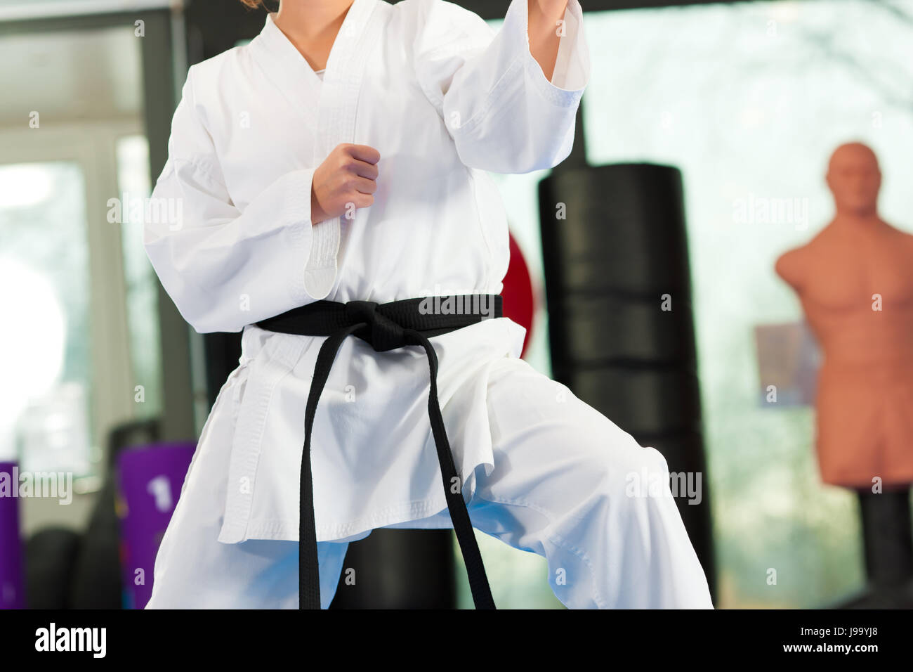 sport, sports, fight, fighting, competitive sport, training, fitness ...