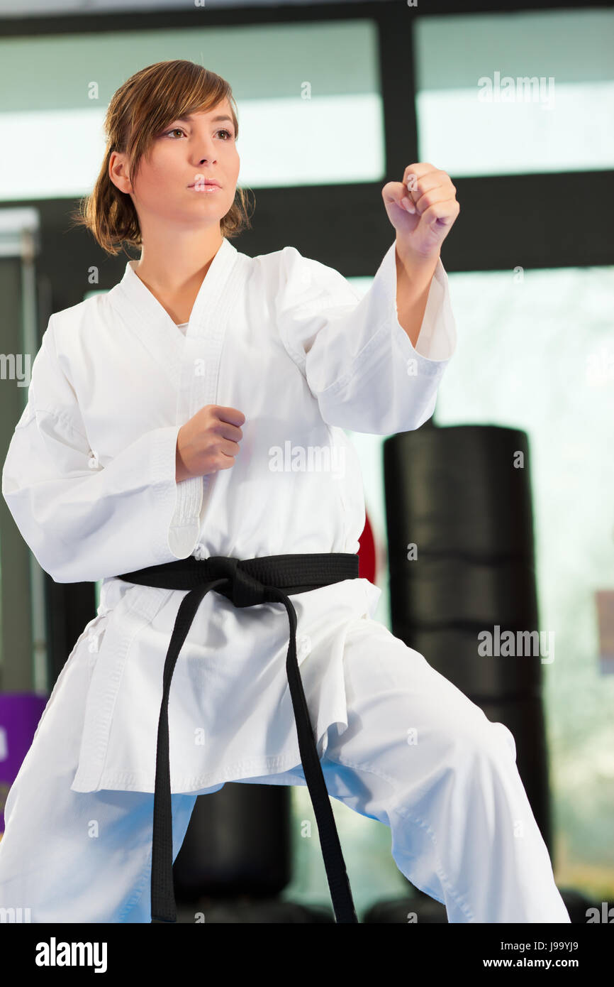 sport, sports, fight, fighting, competitive sport, training, fitness ...