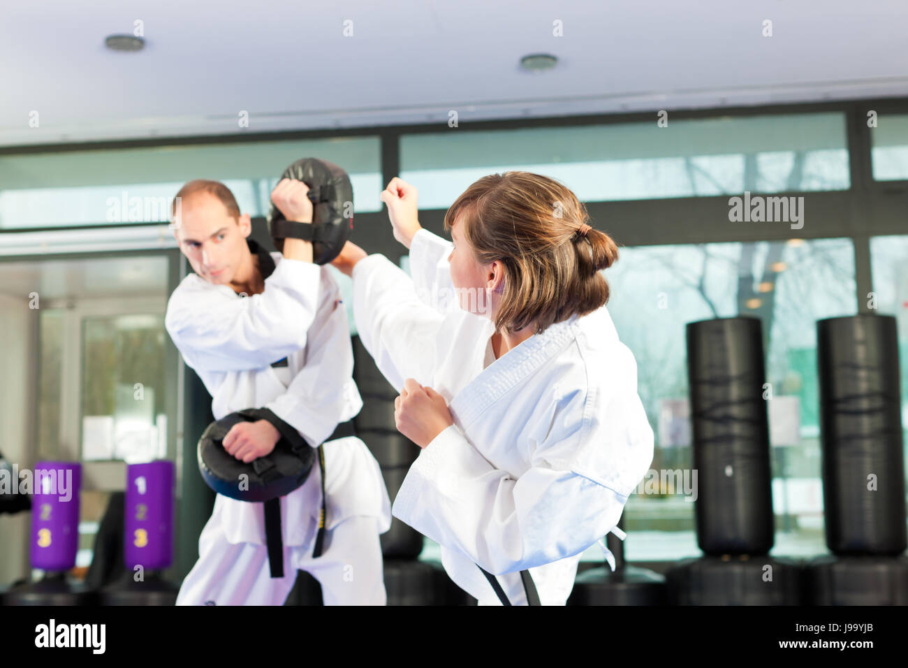 sport, sports, competitive sport, training, karate, fitness, woman ...