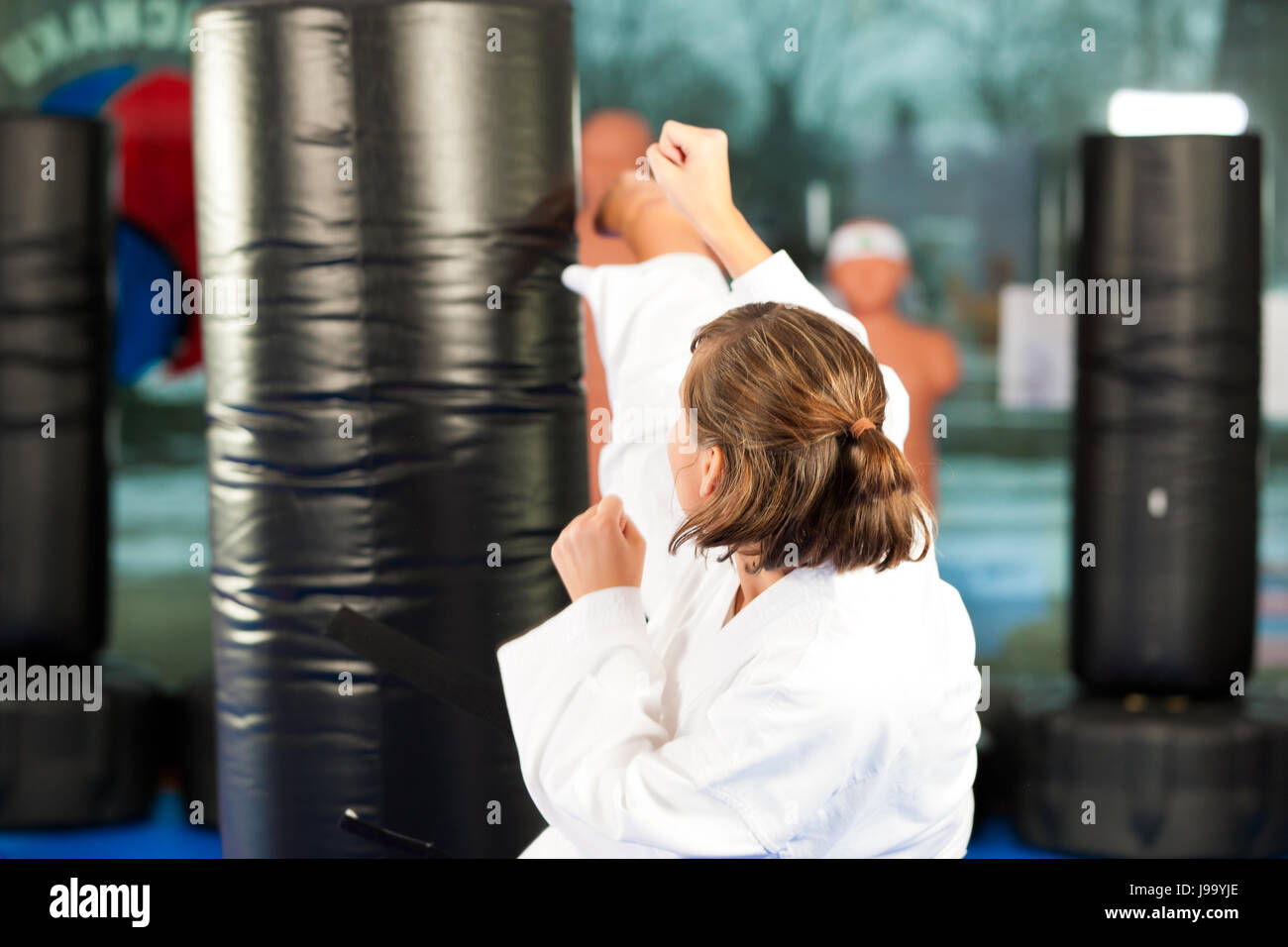 sport, sports, competitive sport, training, karate, fitness, woman ...