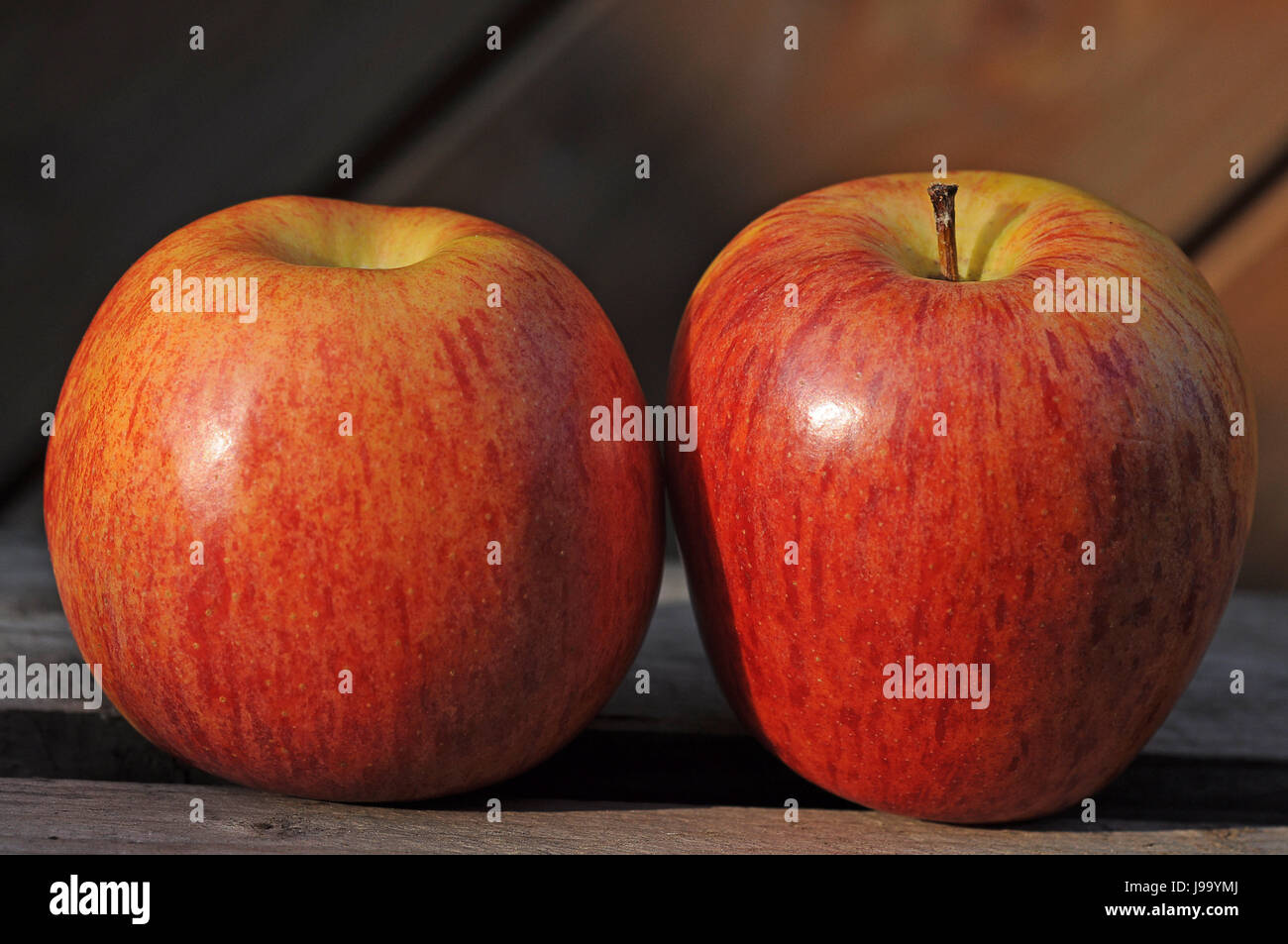 apples, apple, ruddiness, couple, pair, red, two, eco, wood, brown ...